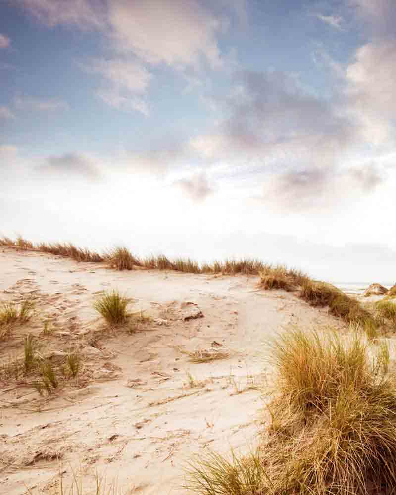 Create your Free eCommerce Store with Freewebstore