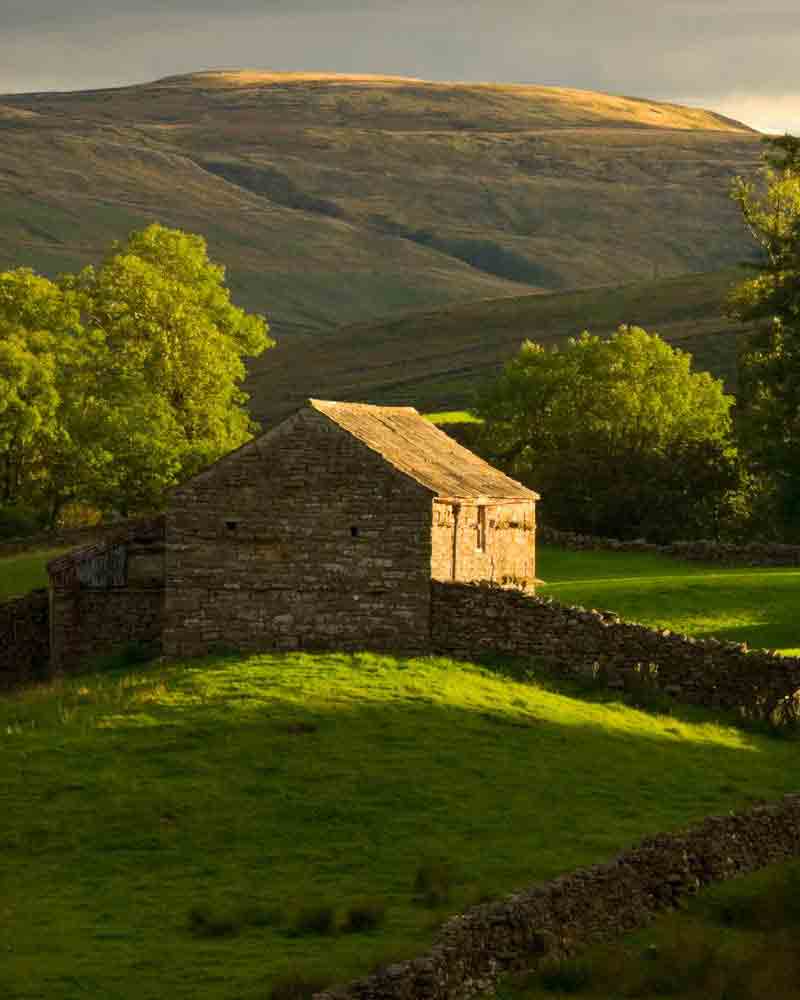 Create your Free eCommerce Store with Freewebstore